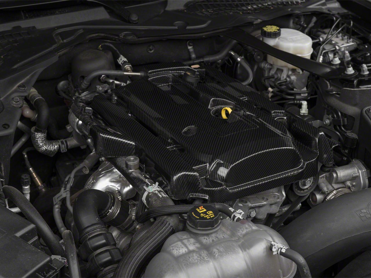 Anderson Composites Mustang Engine Cover; Carbon Fiber AC-EC15FDMUEB ...