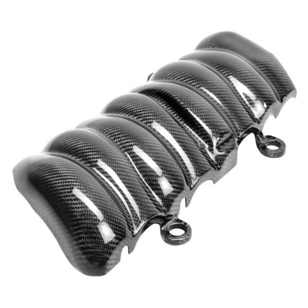 Anderson Composites Camaro Intake Plenum Cover; Carbon Fiber AC-LSMEC ...